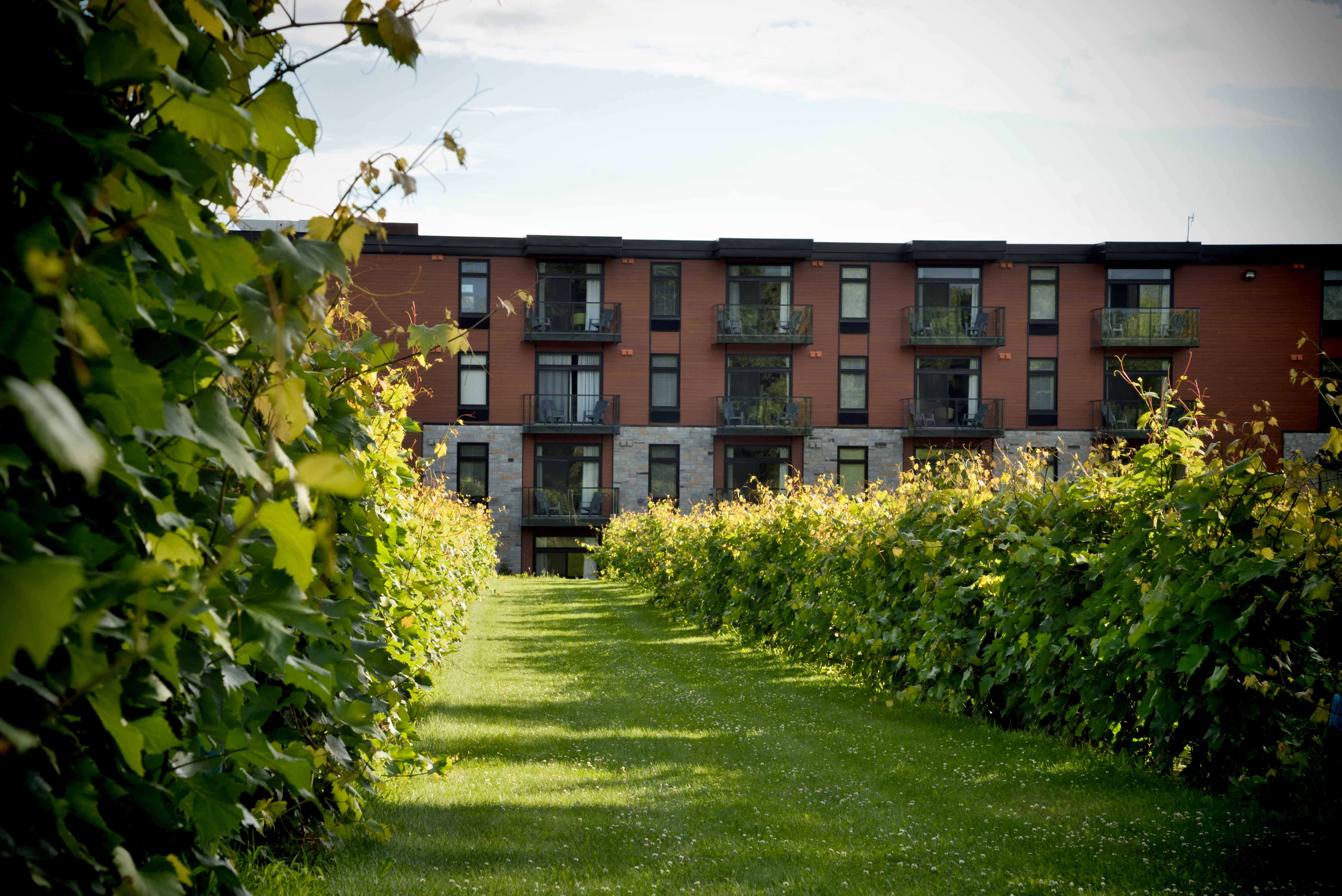 La cache à Maxime - ForfaitsVacancesQuebec.com